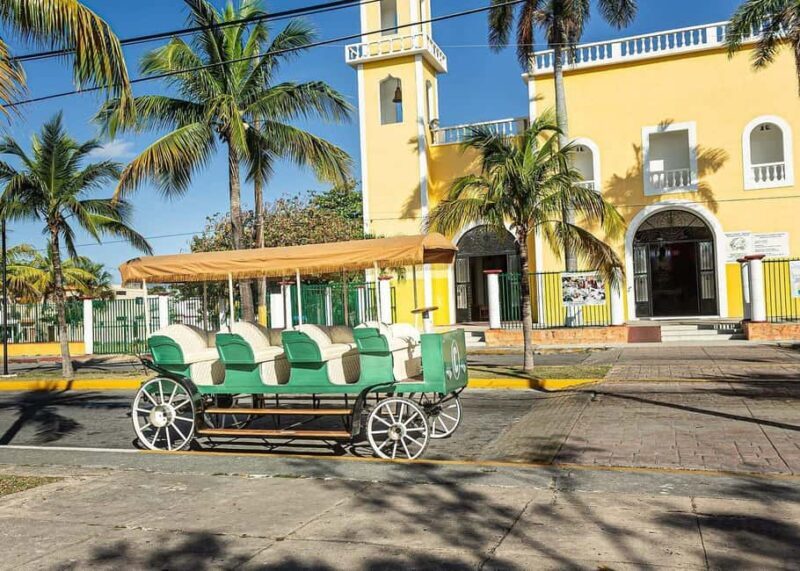 Cozumel: Electric Carriage Tour - Real Traveler Perspectives
