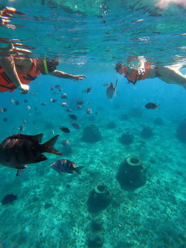 Cozumel: Excursion Crystal Boat Tour with Snorkel & Drinks - Key Points