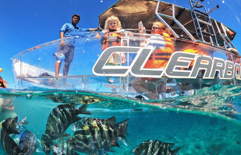 Cozumel: Excursion Crystal Boat Tour with Snorkel & Drinks - An In-Depth Look at the Experience
