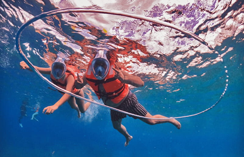 Cozumel: Excursion Crystal Boat Tour with Snorkel & Drinks - Who Will Love This Tour?
