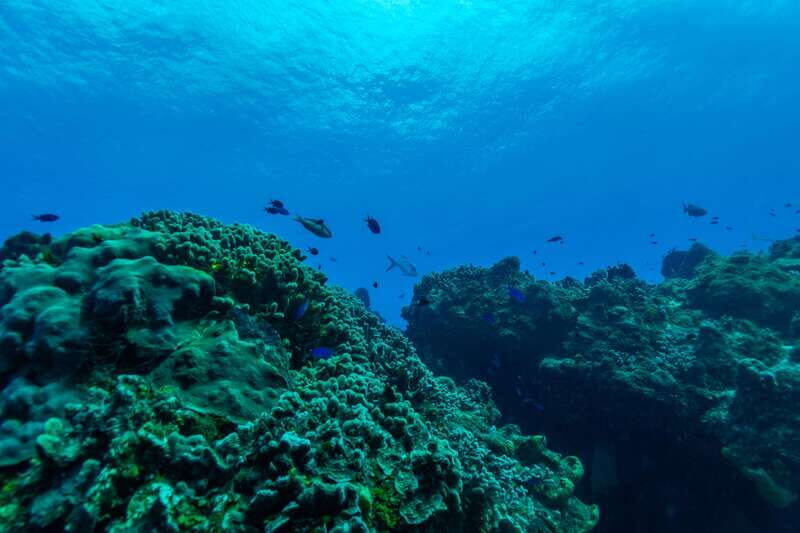 Cozumel: Fun Dive Adventure for Certificates - A Practical Look at the Experience