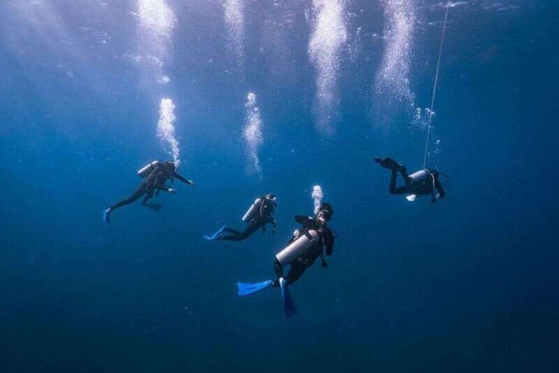 Cozumel: Fun Dive Adventure for Certificates - What the Reviews Say