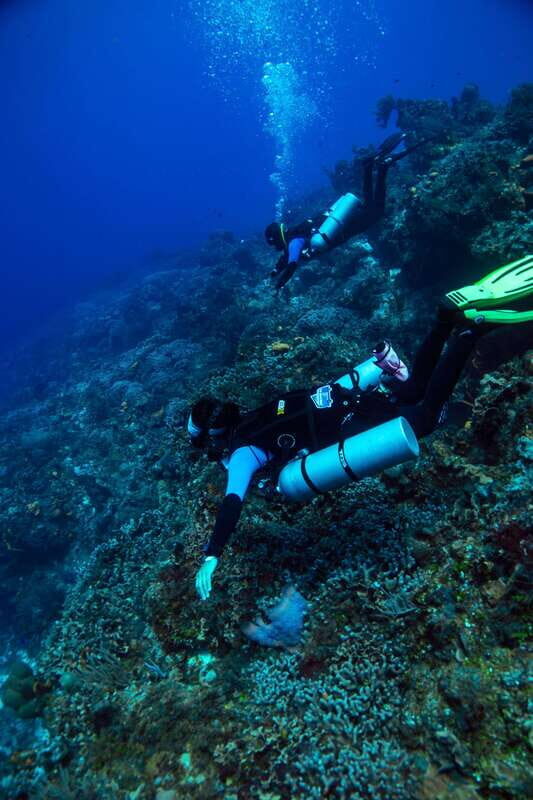 Cozumel: Fun Dive Adventure for Certificates - Why Youll Love This Tour