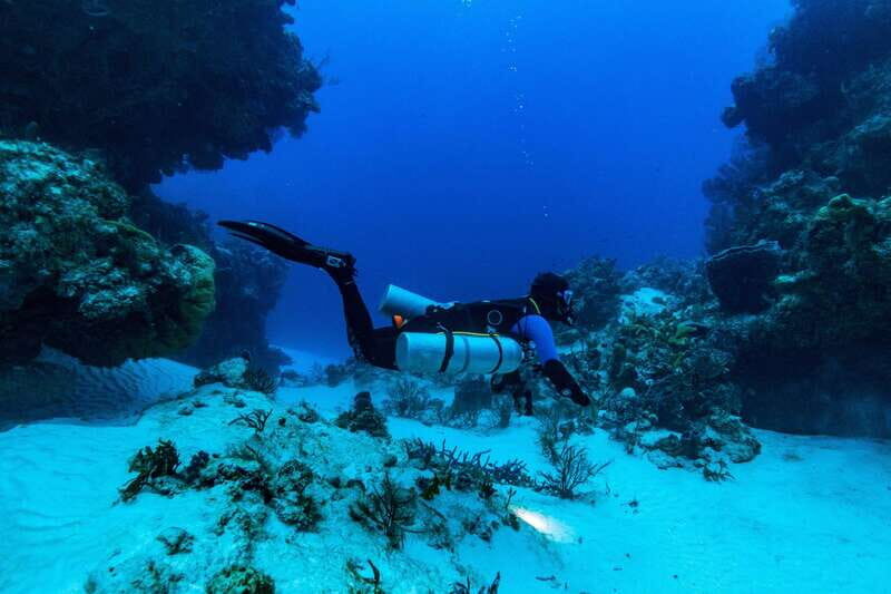 Cozumel: Fun Dive Adventure for Certificates - Considerations Before Booking