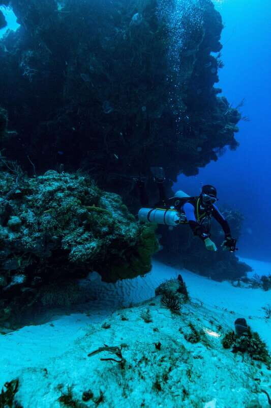 Cozumel: Fun Dive Adventure for Certificates - Who Is This Tour Best For?