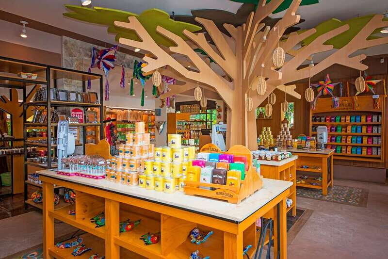 Cozumel: General Admission to the Mayan Cacao Experience - Final Thoughts: Who Is This Tour Best For?