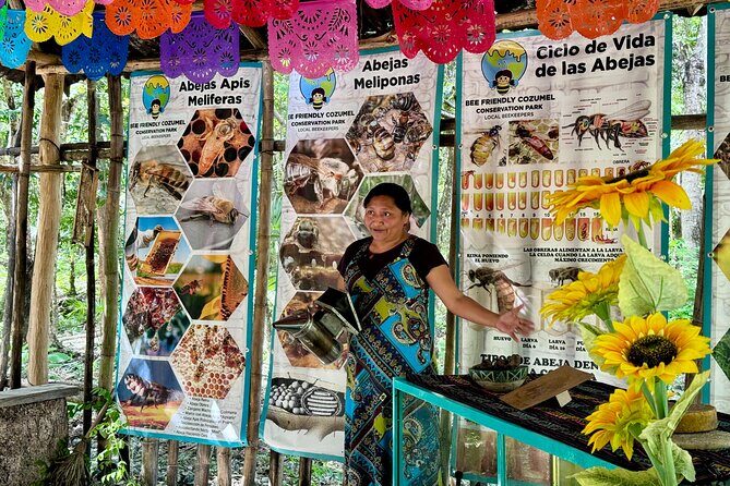 Cozumel: Honey Tasting & Hands-On Chocolate Experience - Key Points