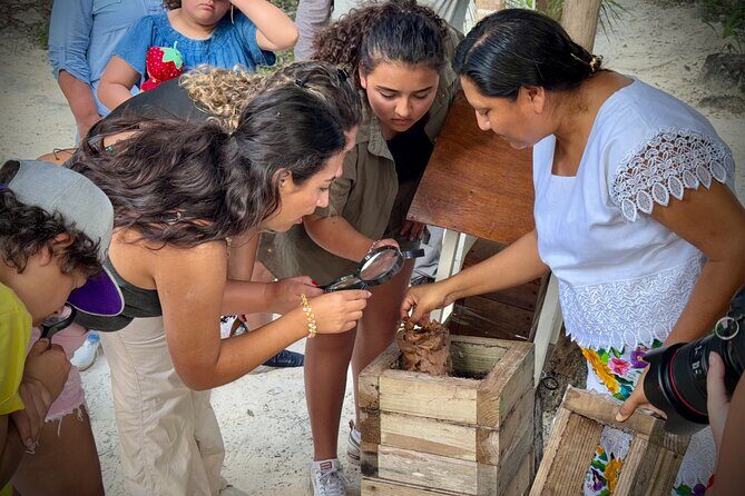 Cozumel: Honey Tasting & Hands-On Chocolate Experience - FAQ