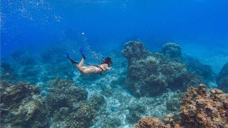 Cozumel: Hop on a glass-bottom boat and dive into a snorkeling adventure - Who Will Love This Tour?