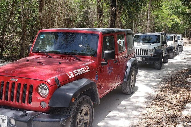 Cozumel Jeep Adventure to Jade Caverns with Lunch and Snorkel - Final Thoughts