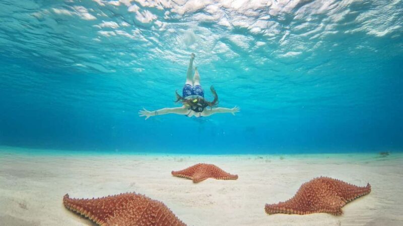 Cozumel, KUZÁ Beach & Adventure Park Deluxe Pass & El Cielo - Final Thoughts