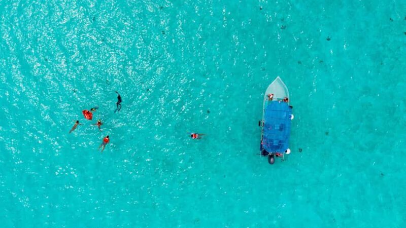 Cozumel: KUZÁ Day Pass, Buffet, Open Bar & El Cielo Snorkel - El Cielito Sandbar and Marine Encounters