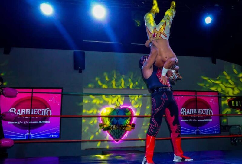 Cozumel Lucha Libre Experience! Meet & Greet Package - A Deep Dive into the Cozumel Lucha Libre Experience