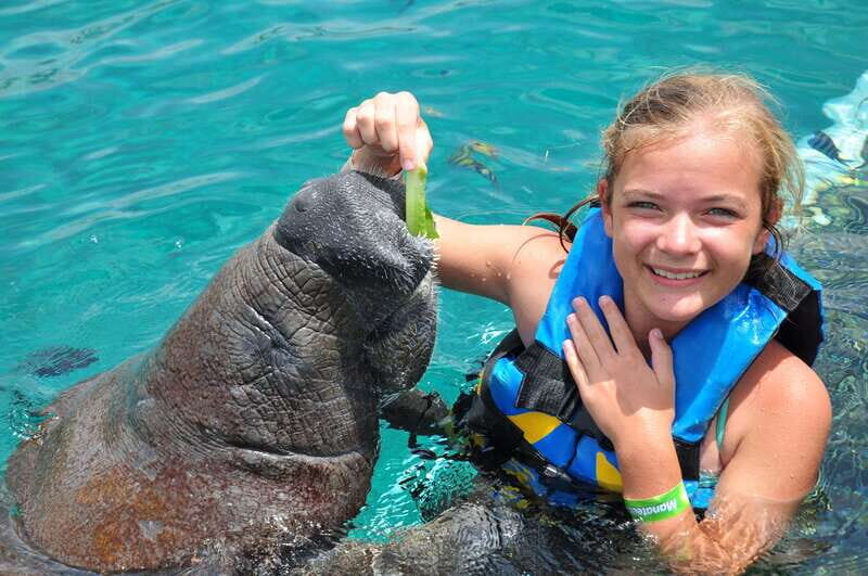 Cozumel: Manatee Encounter, Chankanaab Admission and Buffet - Key Points