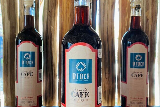 Cozumel Mayan Cultural Show: Dances, tastings & explore - Who Should Consider This Tour?