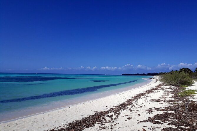 Cozumel National Park and Beach Break: Private Tour - A Deep Dive into the Cozumel Experience