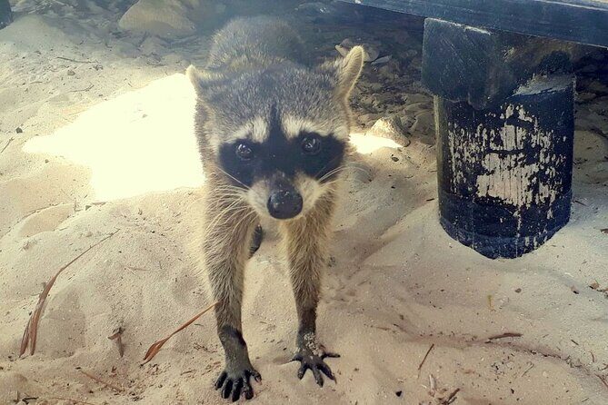 Cozumel National Park and Beach Break: Private Tour - Who Will Love This Tour?