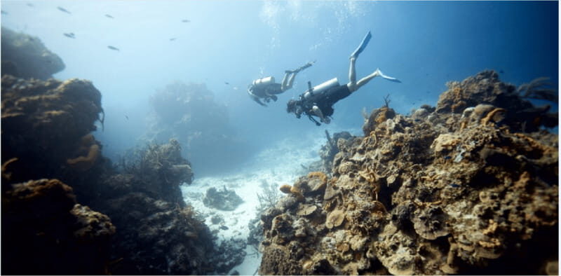 Cozumel: Ocean Dive - The Practicalities: Price and Value