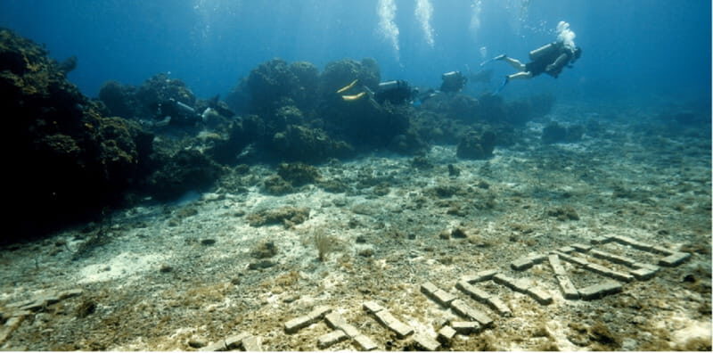 Cozumel: Ocean Dive - The Atmosphere and Group Size