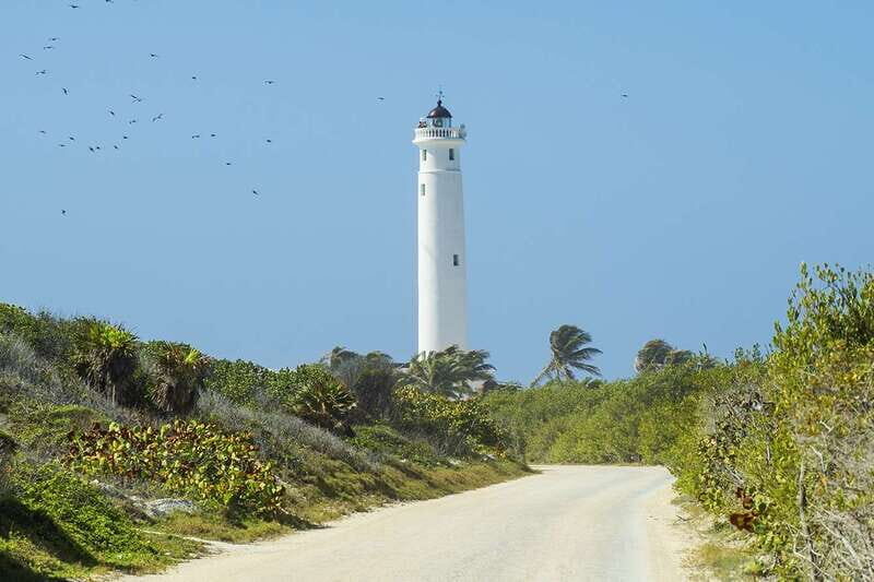 Cozumel: Off-road Adventure to Punta Sur and Clear Boat Ride - An Introduction to the Tour Experience