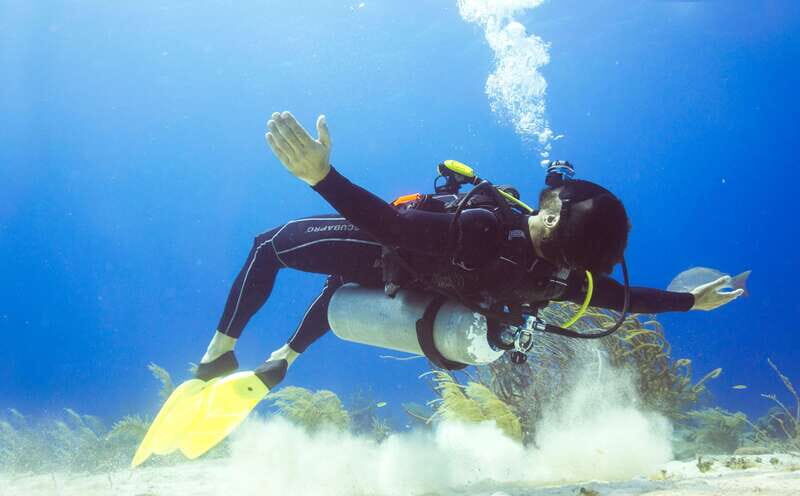 Cozumel: One Tank Scuba Dive and Full Chankanaab Park Access - An Introduction to the Tour Experience