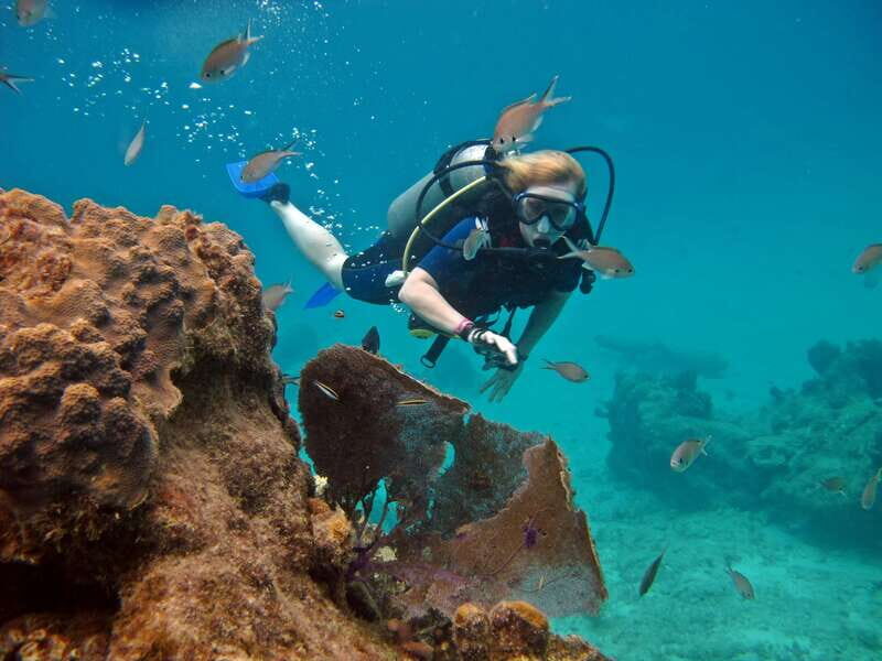 Cozumel: One Tank Scuba Dive and Full Chankanaab Park Access - Detailed Breakdown of the Itinerary