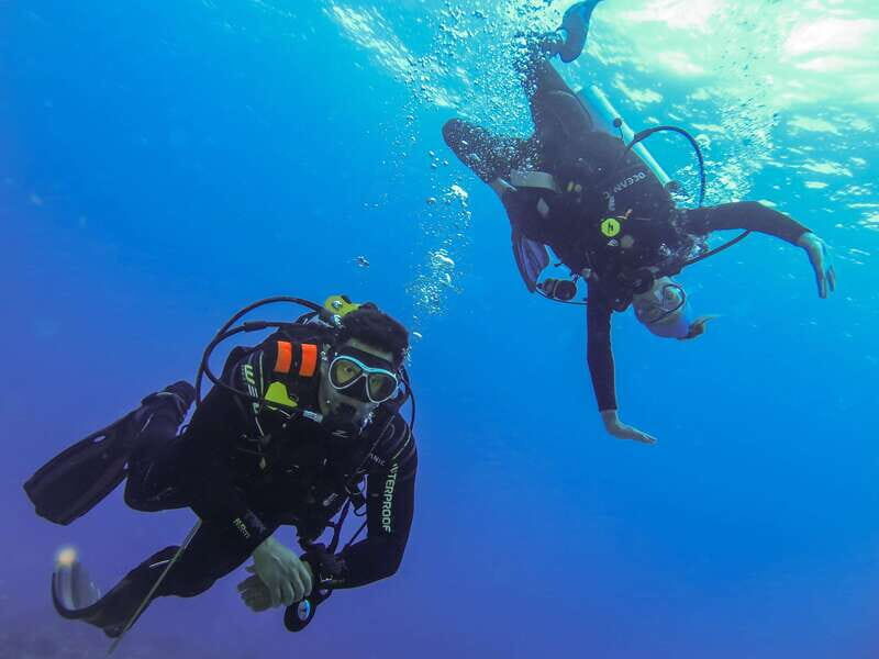 Cozumel: One Tank Scuba Dive and Full Chankanaab Park Access - Additional Helpful Tips