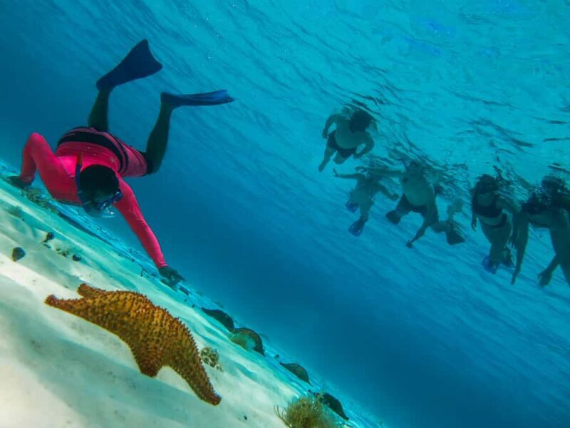 Cozumel: Palancar, Columbia and Cielo Reefs Snorkeling Tour - Key Points