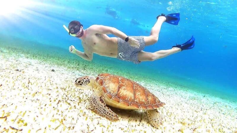 Cozumel: Palancar, Columbia and Cielo Reefs Snorkeling Tour - A Closer Look at the Tour Itinerary