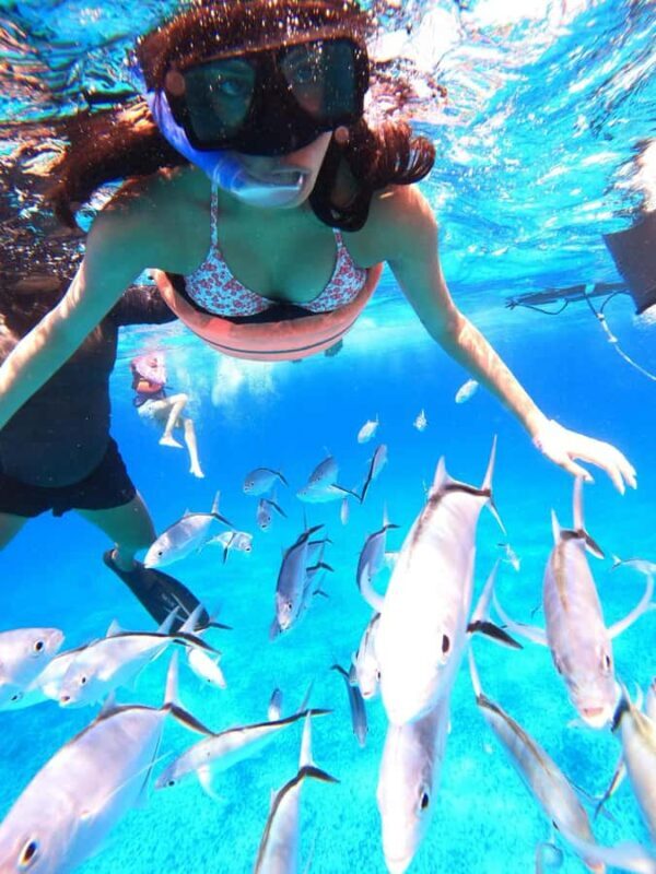 Cozumel: Palancar, Columbia and Cielo Reefs Snorkeling Tour - The Value of This Snorkeling Tour