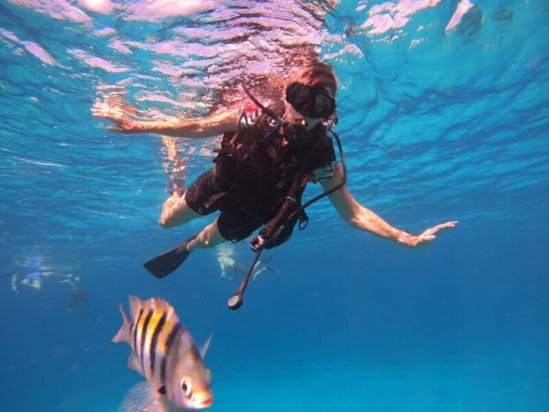 Cozumel: Palancar, Columbia and Cielo Reefs Snorkeling Tour - Who Will Love This Tour