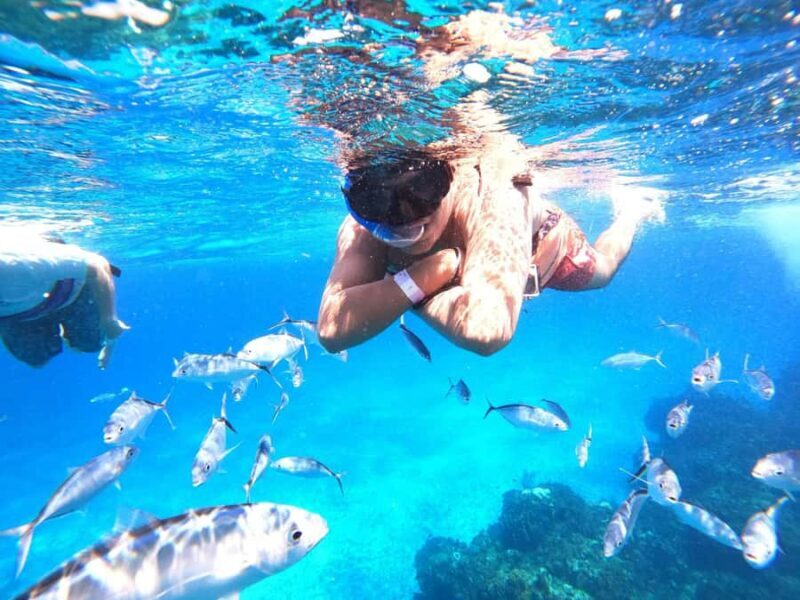 Cozumel: Palancar, Columbia and Cielo Reefs Snorkeling Tour - FAQ: Your Quick Guide to the Snorkeling Tour