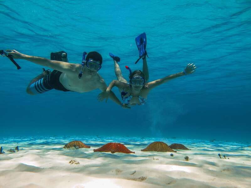 Cozumel: Palancar, Columbia and Cielo Reefs Snorkeling Tour - The Itinerary Breakdown: What to Expect