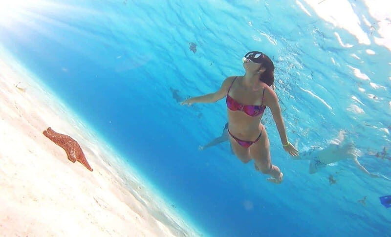 Cozumel: Palancar, Columbia and Cielo Reefs Snorkeling Tour - Real Traveler Insights