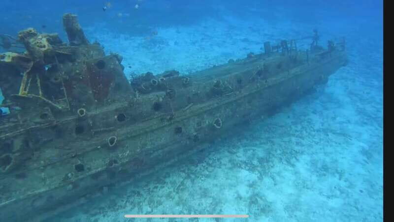 Cozumel, Passion Island: 4-Hour Private Tour - An In-Depth Look at the Experience