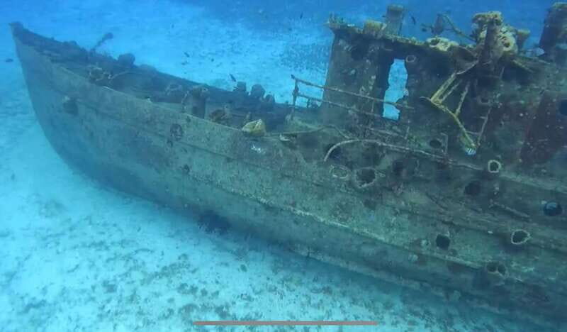 Cozumel, Passion Island: 4-Hour Private Tour - Authentic Experience and Customer Perspectives