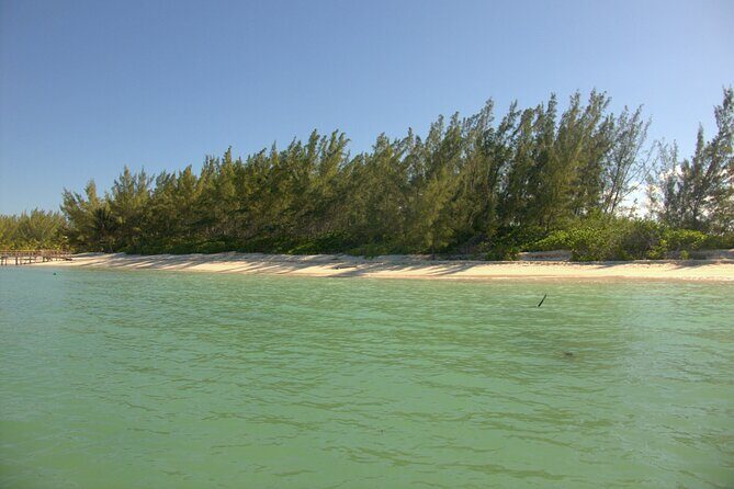 Cozumel Private 4-Hour Boat Tour to Passion Island - Who Will Love This Experience?
