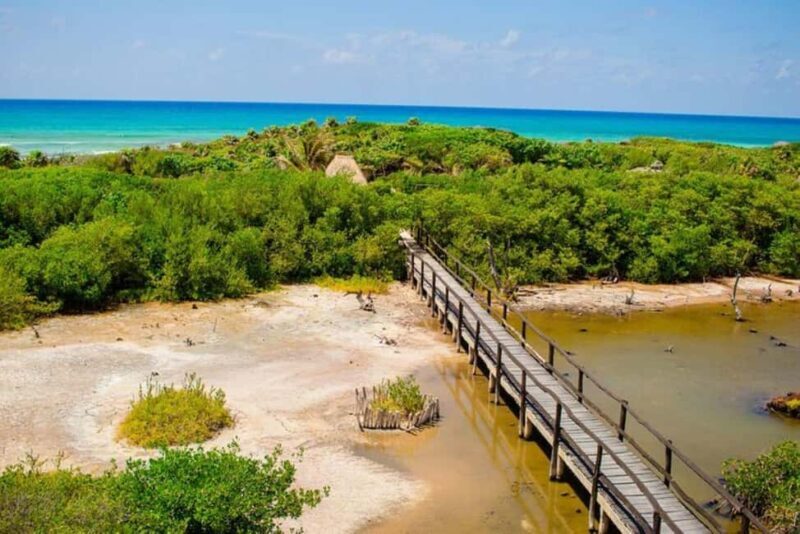 Cozumel: Private Buggy Tour to Punta Sur Park All Inclusive - Snorkeling and Water Activities: Fun in the Sun