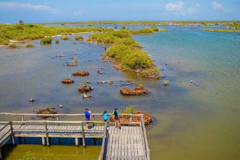 Cozumel: Private Buggy Tour to Punta Sur Park All Inclusive - Unique Experiences: Tequila and Chocolate Seminars