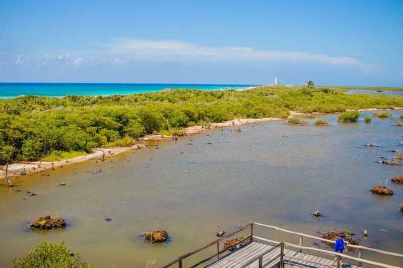 Cozumel: Private Buggy Tour to Punta Sur Park All Inclusive - Authentic, Balance, and Personal Touch