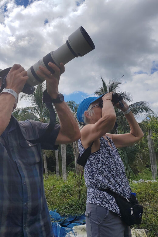 Cozumel: Private Car, Driver & Certified Tour Guide - Key Points