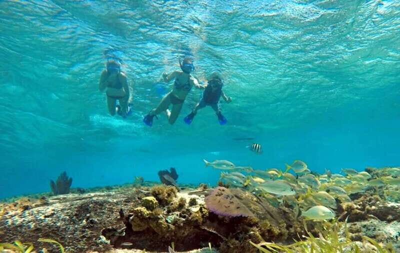 Cozumel: Private Charter Boat and Snorkel Day Trip - Key Points