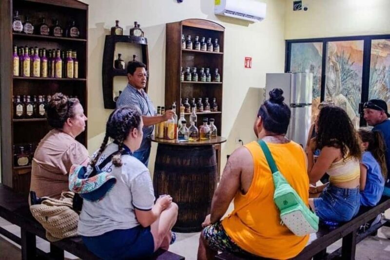 Cozumel: Private Jeep & ATV Tour to Jade Cavern w Snorkeling - The Practical Side: Logistics and Group Dynamics