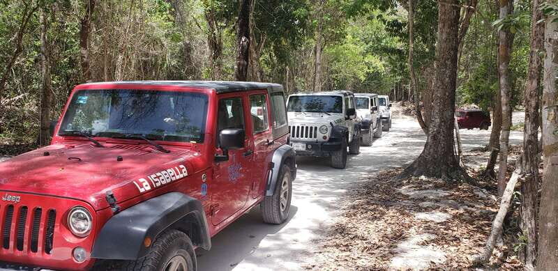 Cozumel: Private Jeep Tour Shore Excursion - An Engaging Dive into the Cozumel Jeep Tour