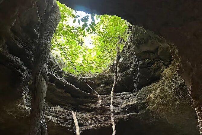 Cozumel Private Mayan caves & history Tour with cenote & Lunch - The Sum Up