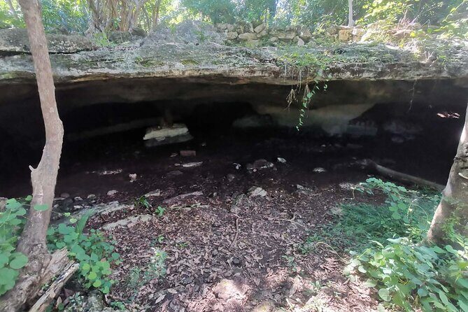 Cozumel Private Mayan caves & history Tour with cenote & Lunch - FAQ