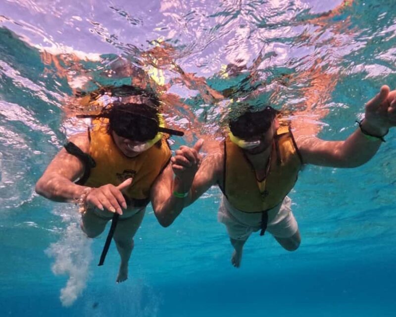 Cozumel: Private Snorkel Experience at Skyreef Beach Club - Who Will Love This Experience?