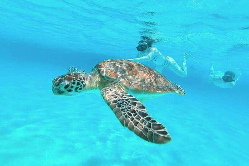 Cozumel: Private Snorkel Tour El Cielo + 3 Reefs Food Drinks - What to Expect from Your Snorkeling Day in Cozumel