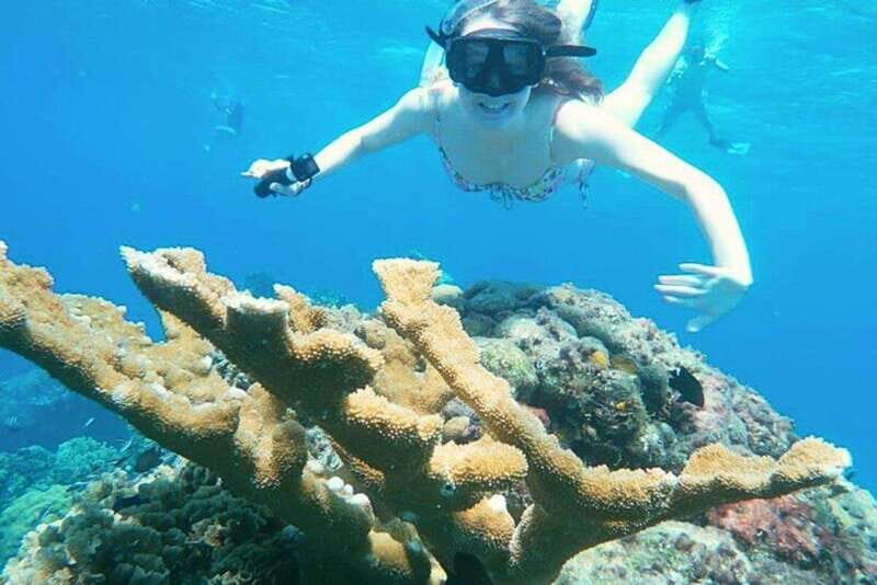 Cozumel: Private Snorkel Tour El Cielo + 3 Reefs Food Drinks - Food, Drinks, and Relaxation