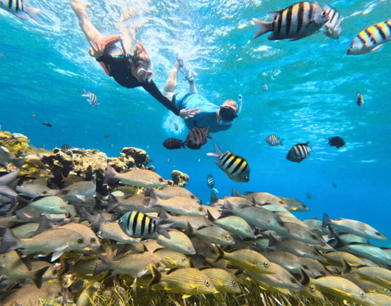 Cozumel: Private Snorkel Tour El Cielo + 3 Reefs Food Drinks - The Sum Up
